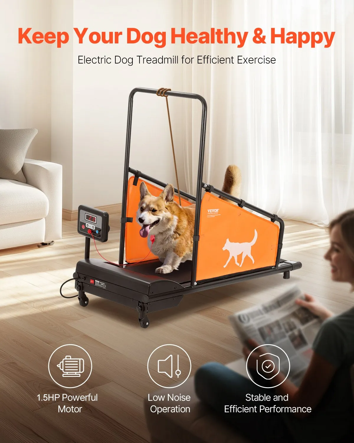 VEVOR Dog Treadmill for Medium Dogs, 200 lbs Capacity, 3 Adjustable Ra ...